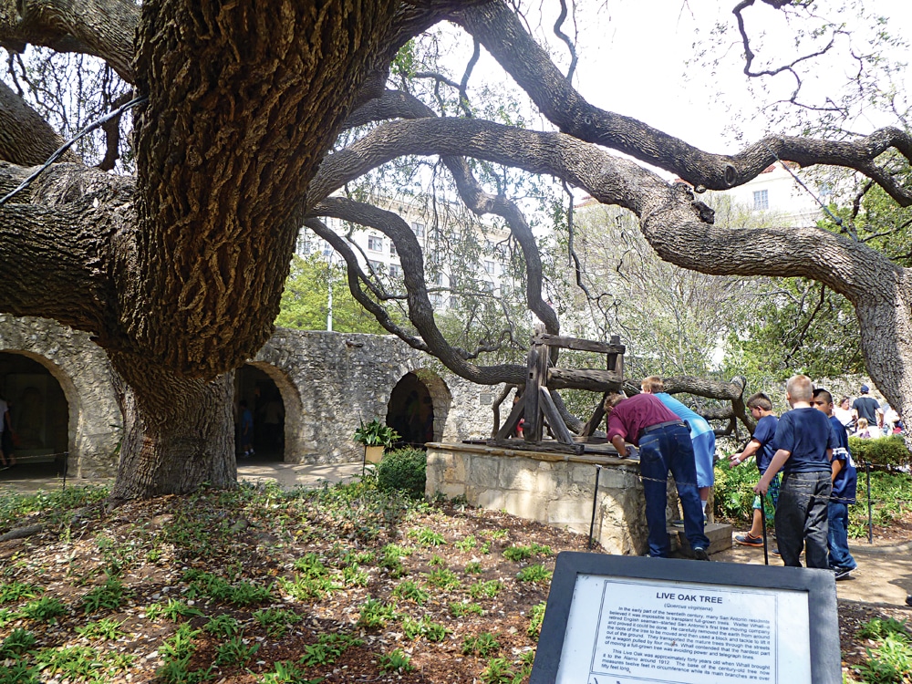 Exploring San Antonio's Treasures