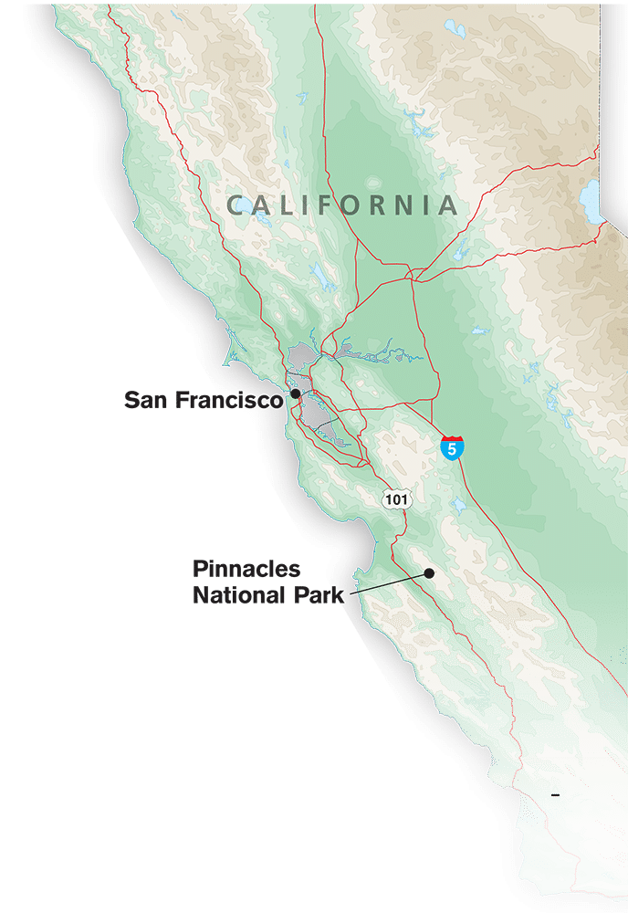 To the Brink and Back