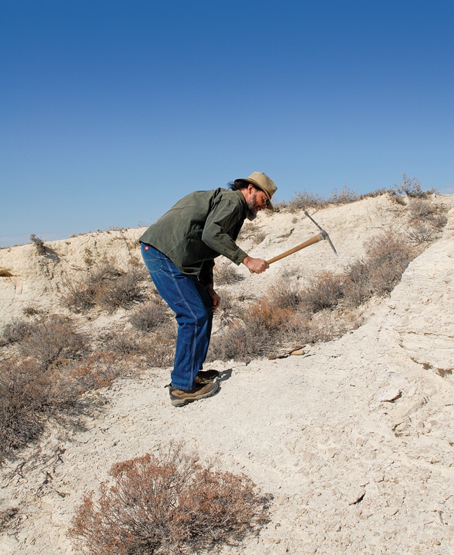 Keystone Kansas Fossil Hunting
