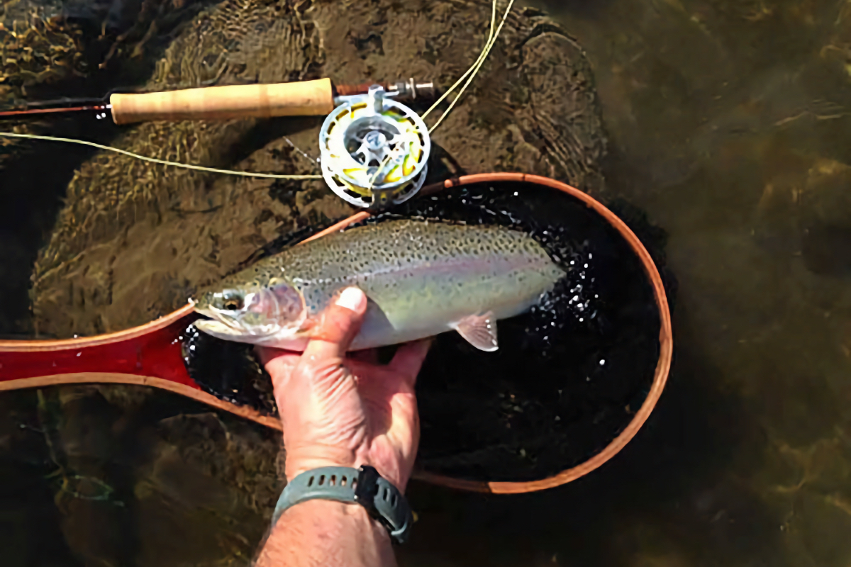 10 Great RV Campgrounds Where You Can Fish, Too - RV.com