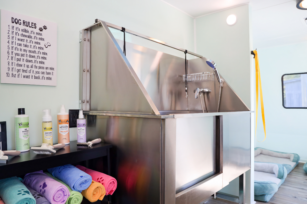 Labor of Love: This RVer Turned a Decrepit Motorhome into a Dog Rescue ...