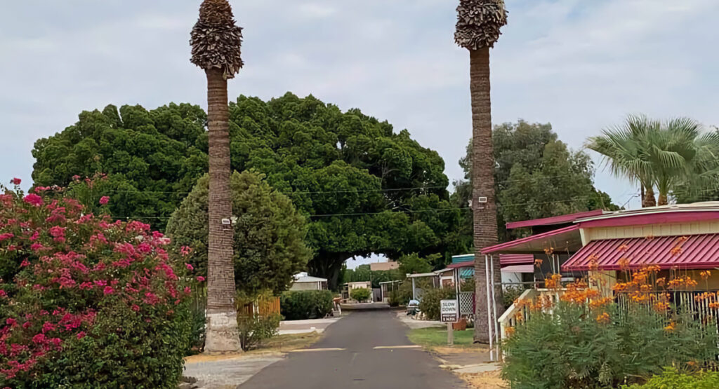 Shady Acres MH & RV Park: A Cozy Haven in Yuma, Arizona - RV.com