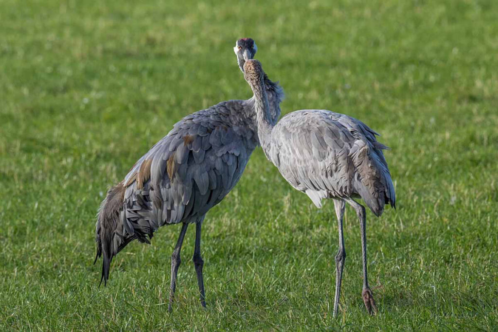 MarDon Resort on Potholes Reservoir: Camp on the Shore in a Central ...