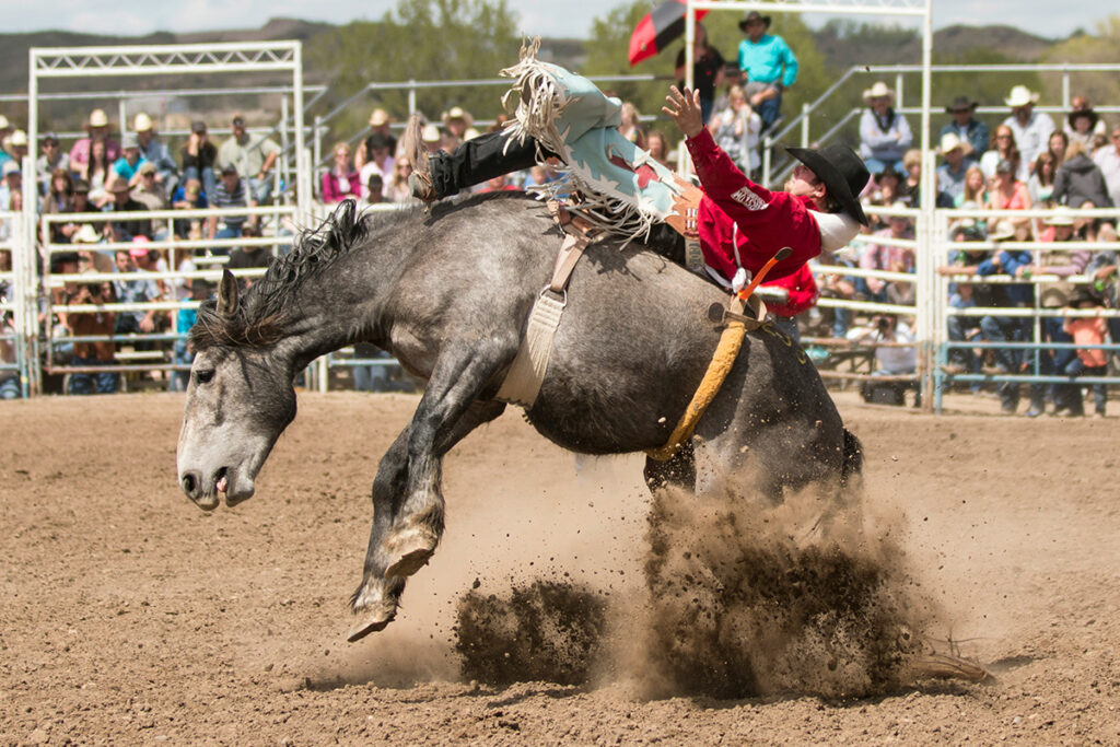 Rodeo Time | American West